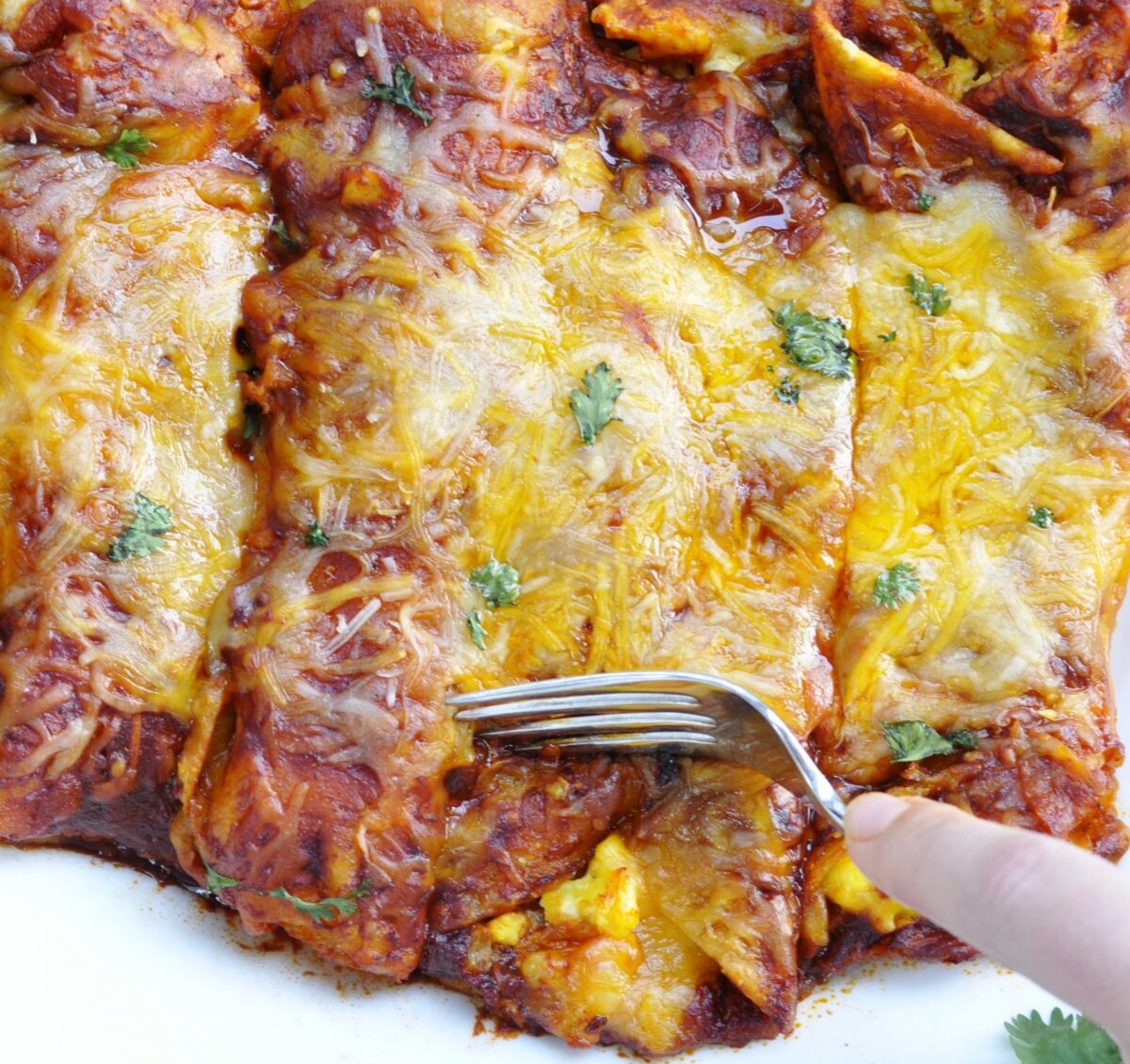 Breakfast Enchilada Recipe | Couple in the Kitchen