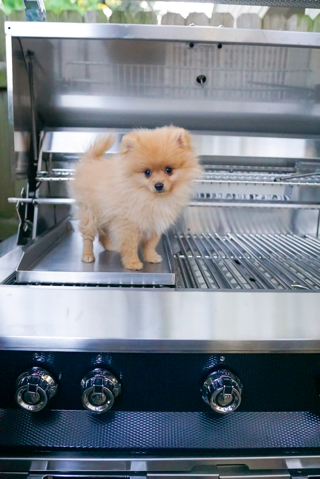 Why We Love Our New Aspire Grill | Couple in the Kitchen