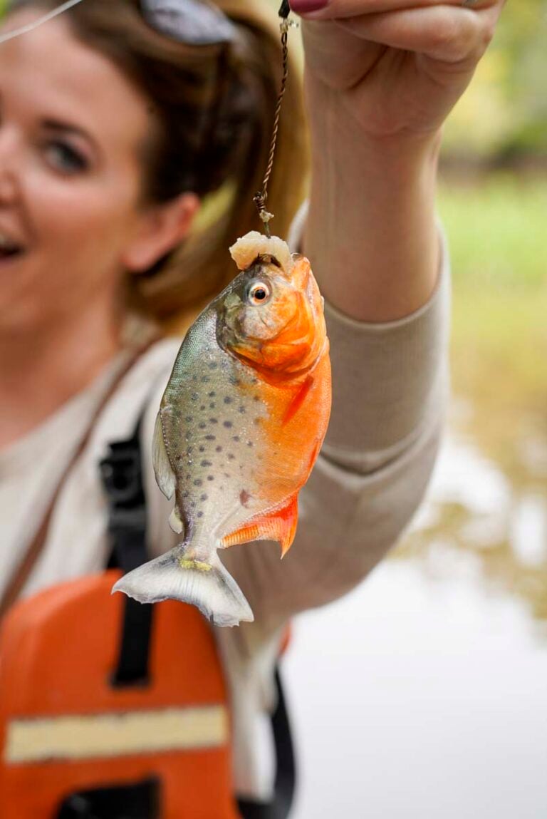 The Amazon River Animals You See on a River Cruise | Couple in the Kitchen