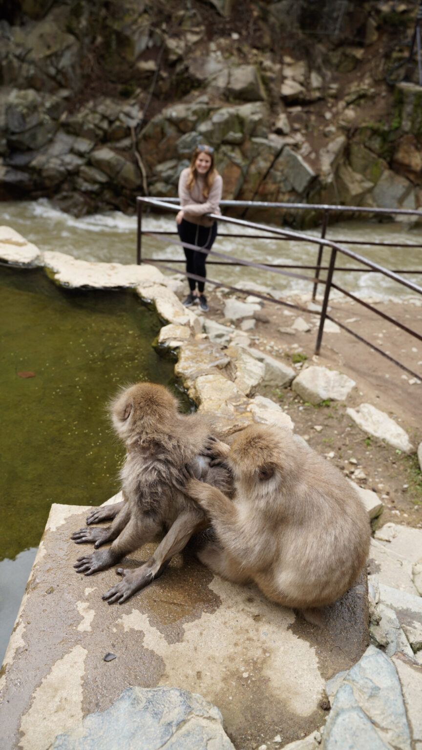 Japan Snow Monkeys in April (Everything You Need To Know) | Couple in ...