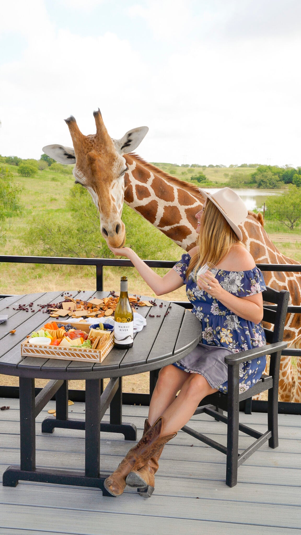 Complete Guide to Drive Thru Zoos in Texas | Couple in the Kitchen