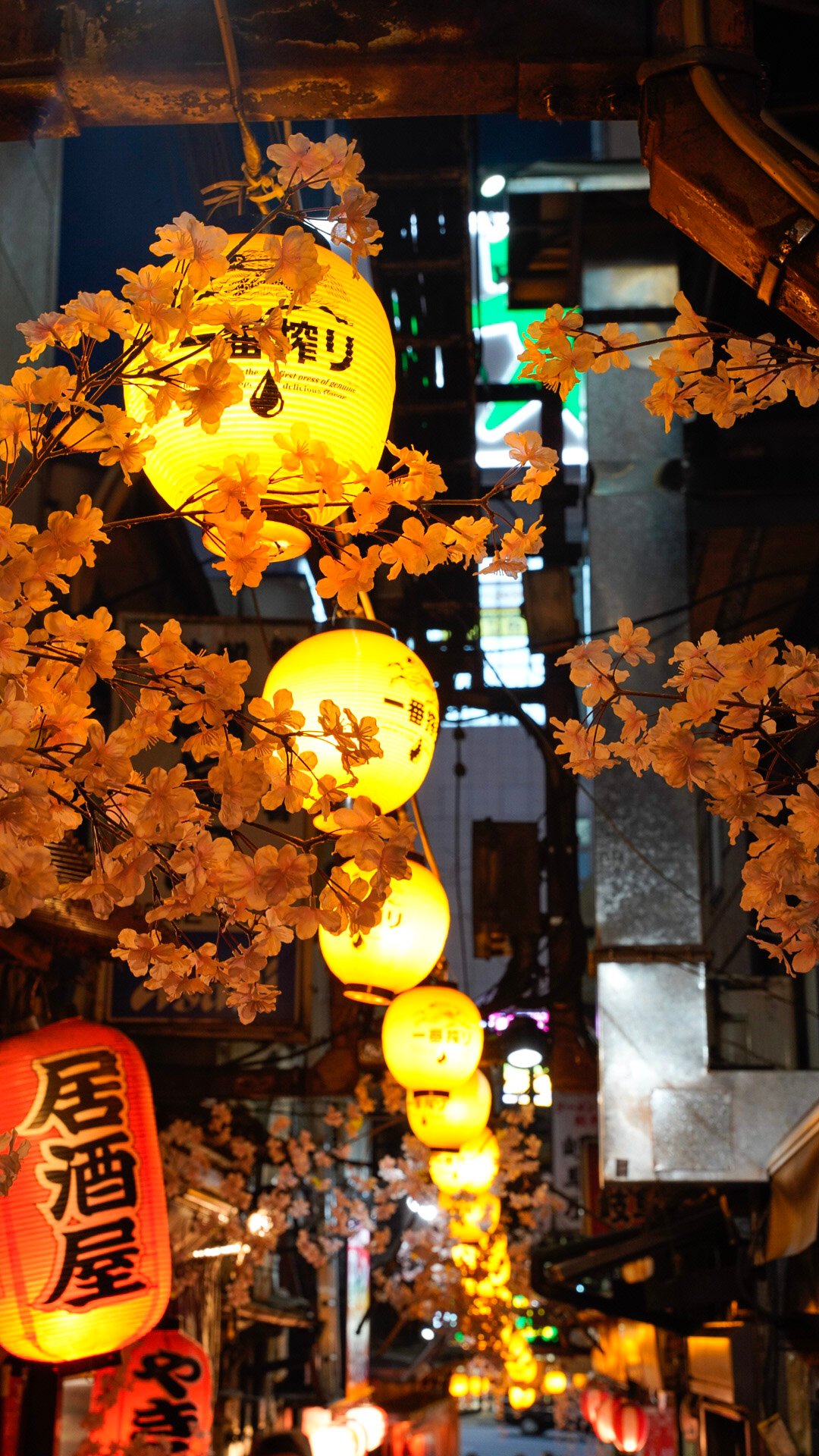 The Best Things To Do In Tokyo Japan at Night | Couple in the Kitchen