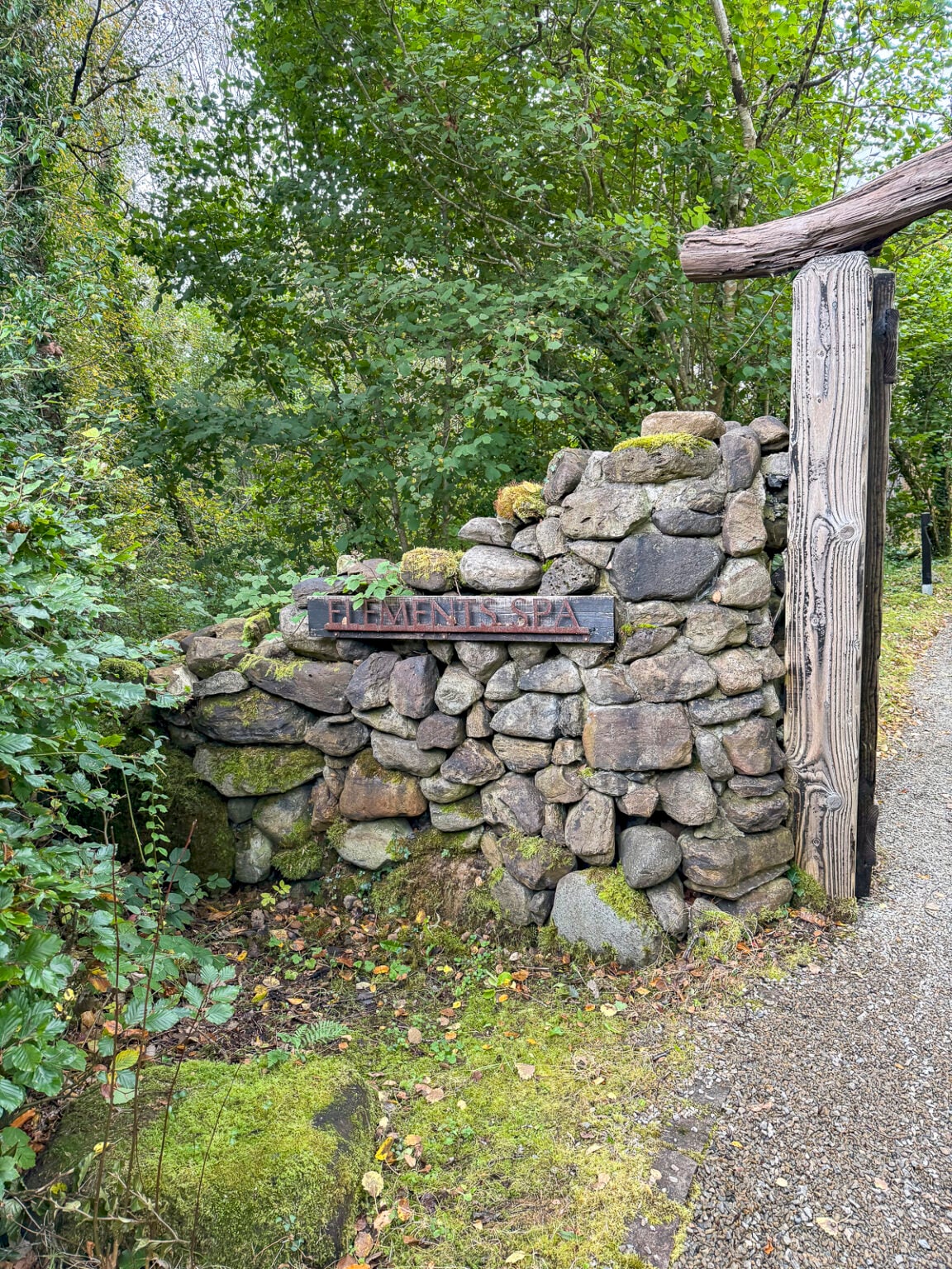 Forest Bathing in Ireland: A Spa Getaway Like No Other | Couple in the ...