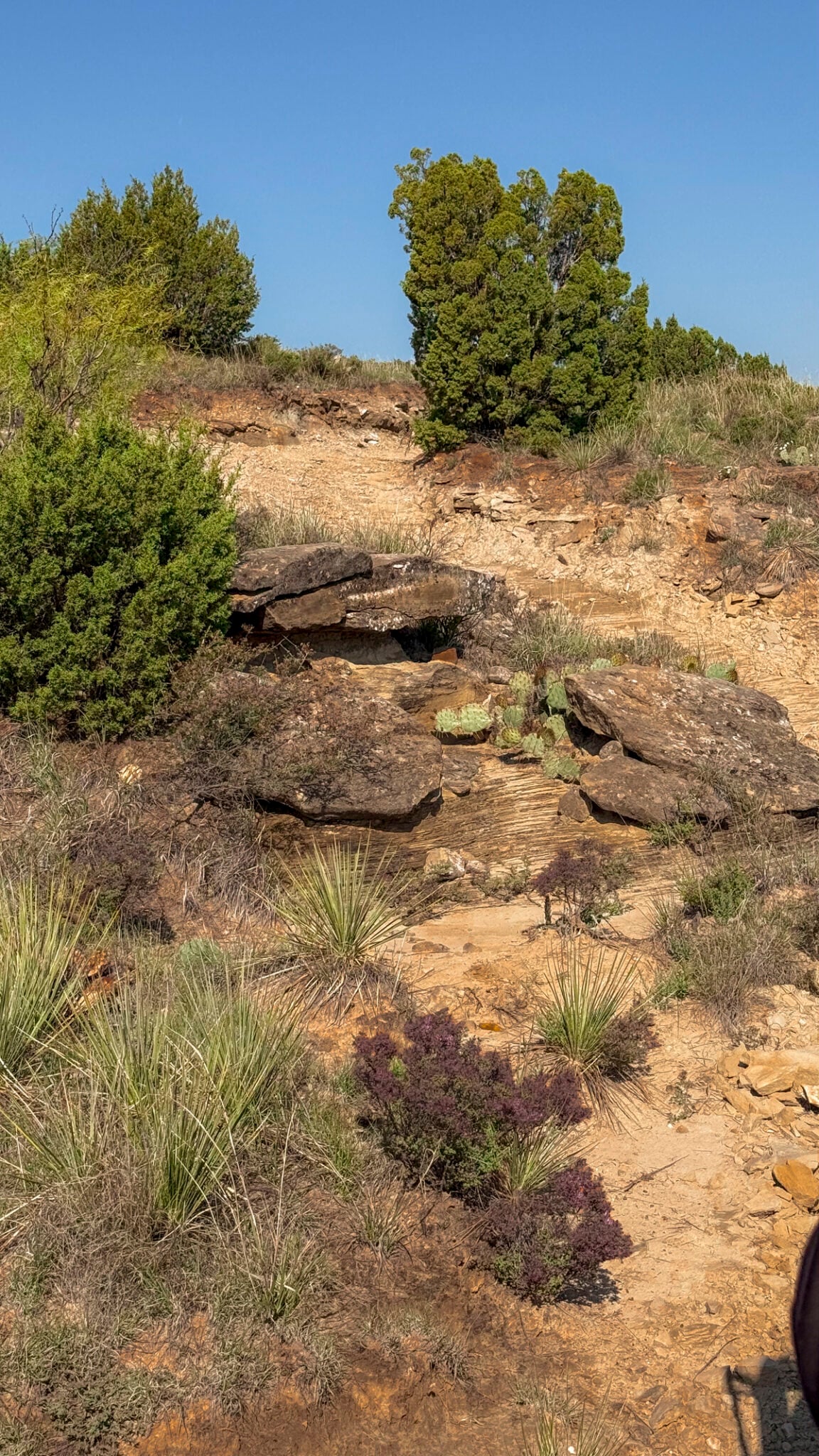 14 Fun & Unique Things to do in Amarillo, Texas | Couple in the Kitchen