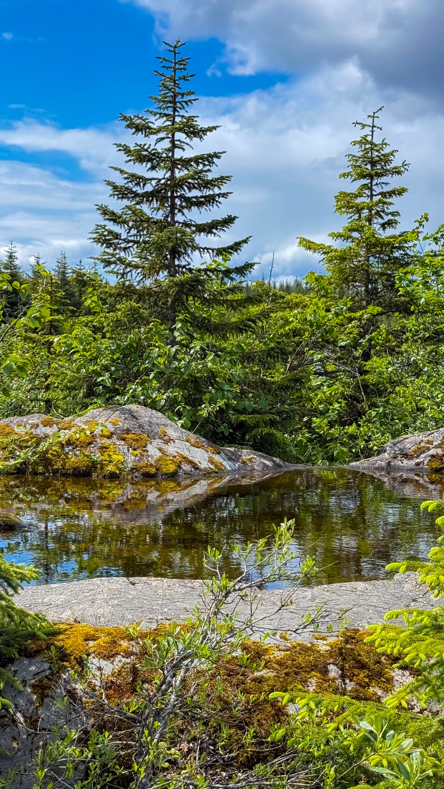 15 Amazing Things to Do in Juneau, Alaska | Couple in the Kitchen